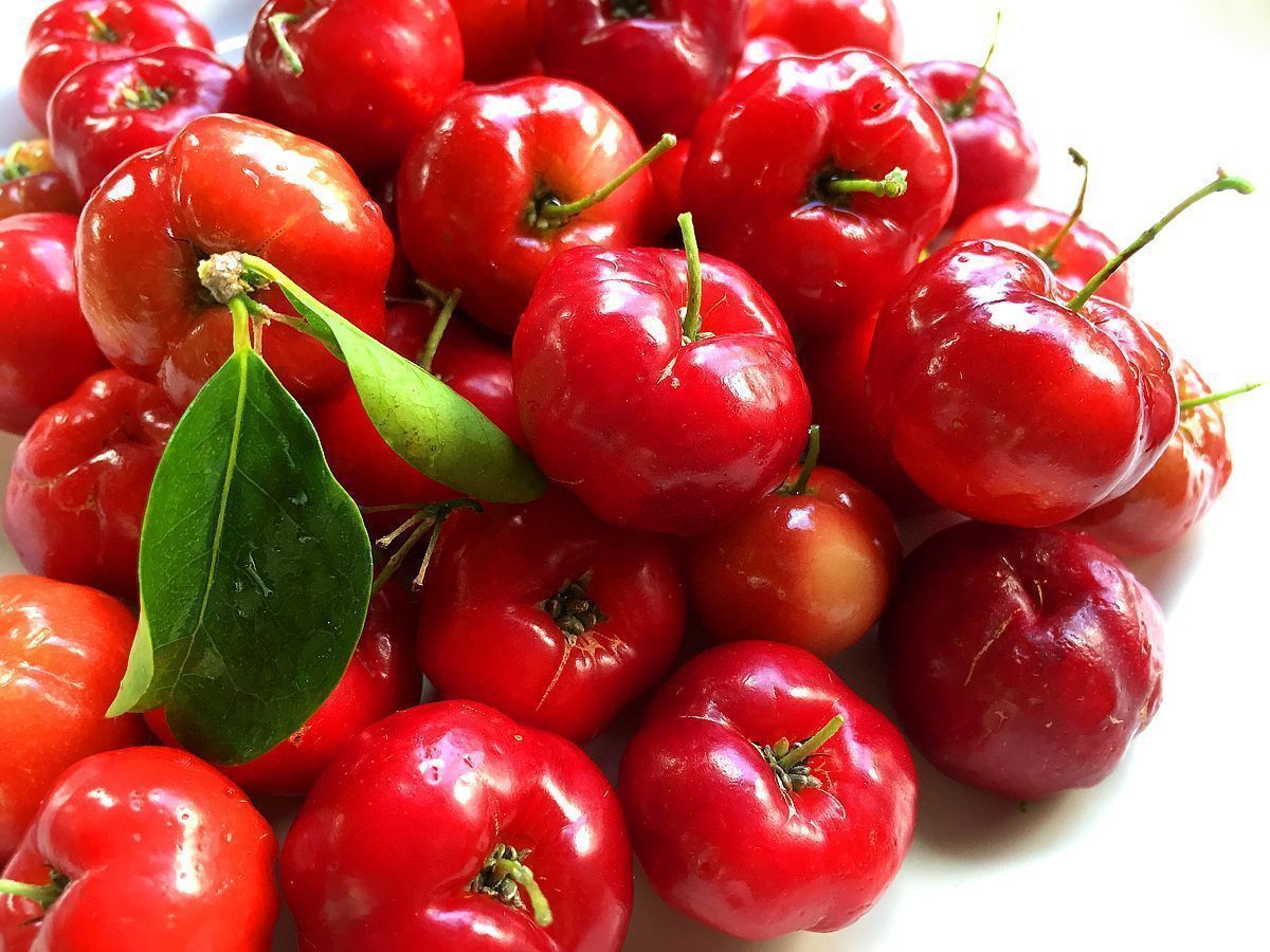 Semeruco o cerecita, una fruta sabrosa, nutritiva y nuestra - Haiman El ...