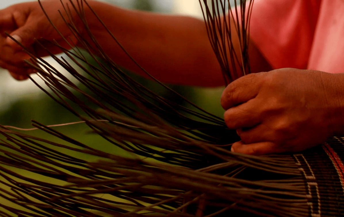 Cestería indígena, memoria ancestral que teje nuestra identidad ...