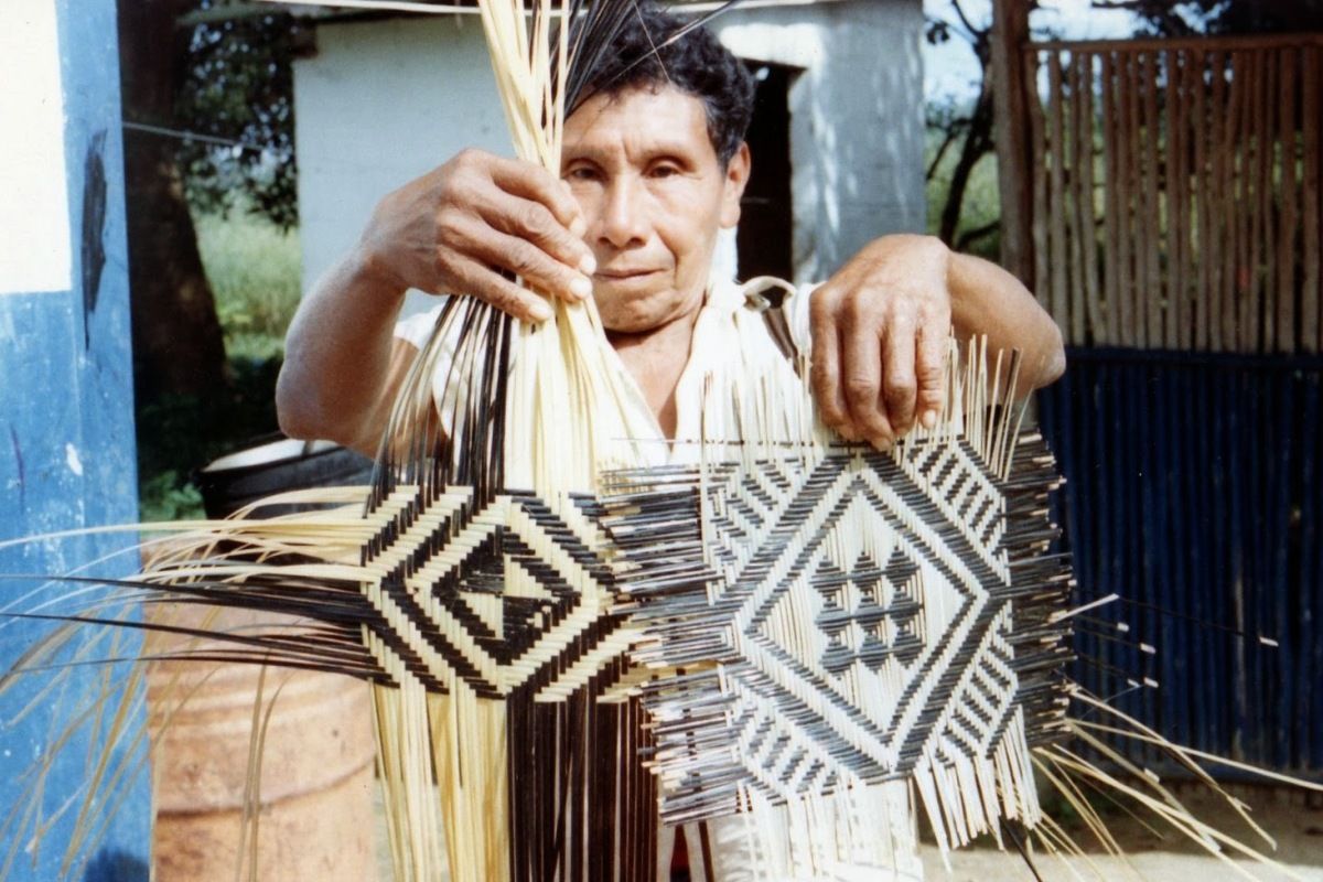 Cestería indígena, memoria ancestral que teje nuestra identidad ...