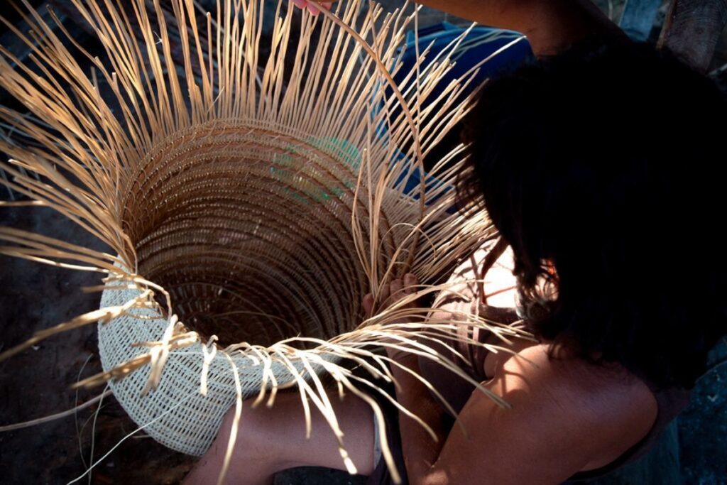 Cestería indígena, memoria ancestral que teje nuestra identidad ...