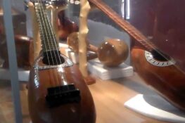 Orégano orejón, planta popular y apreciada por sus propiedades - Haiman ...