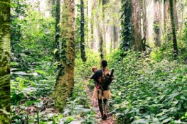 El Guache, un parque nacional que comparten Portuguesa y Lara - Haiman ...