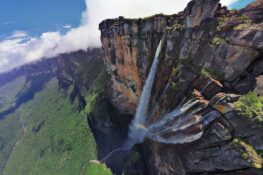 La tonina del Orinoco es el cétaceo de agua dulce más grande del mundo ...