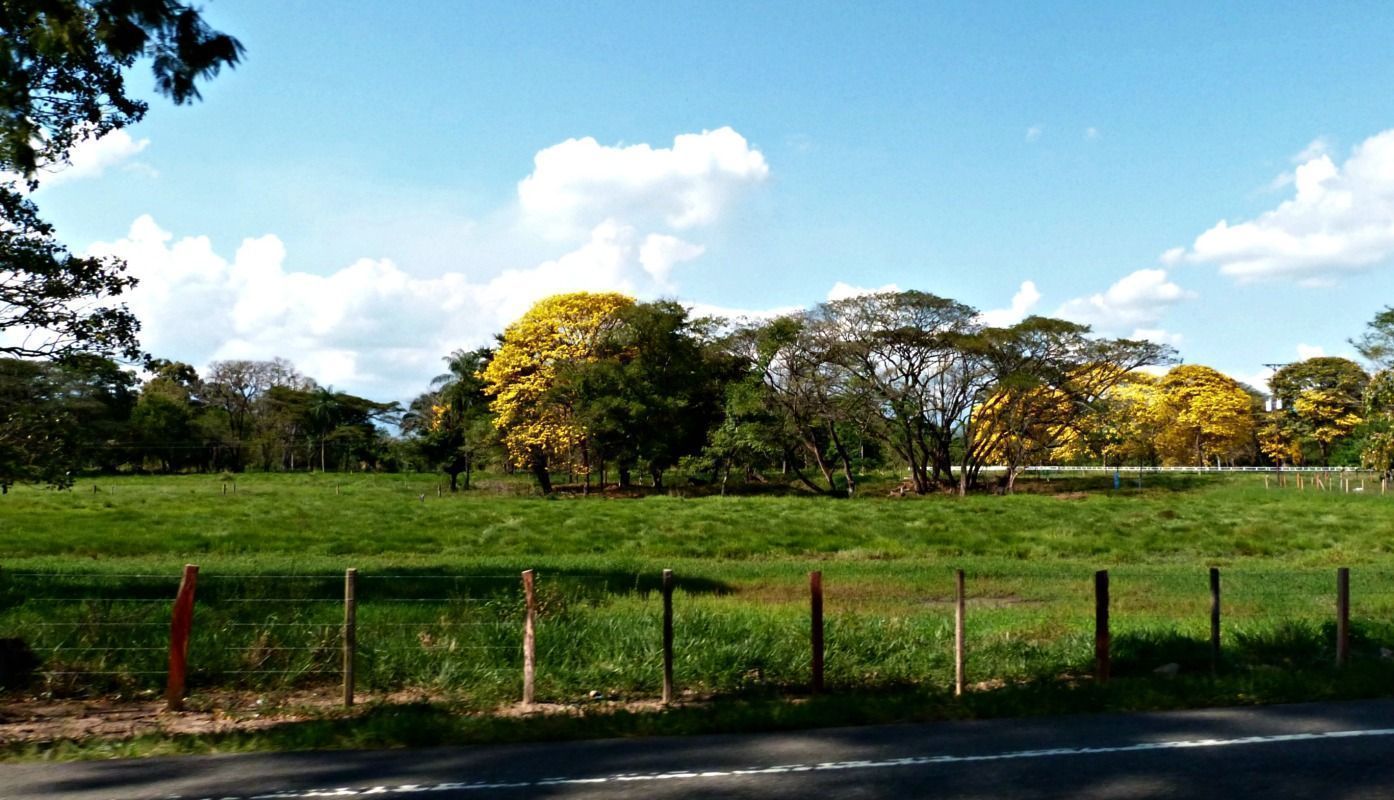 La linda Barinas, un paisaje de ensoñación - Haiman El TroudI