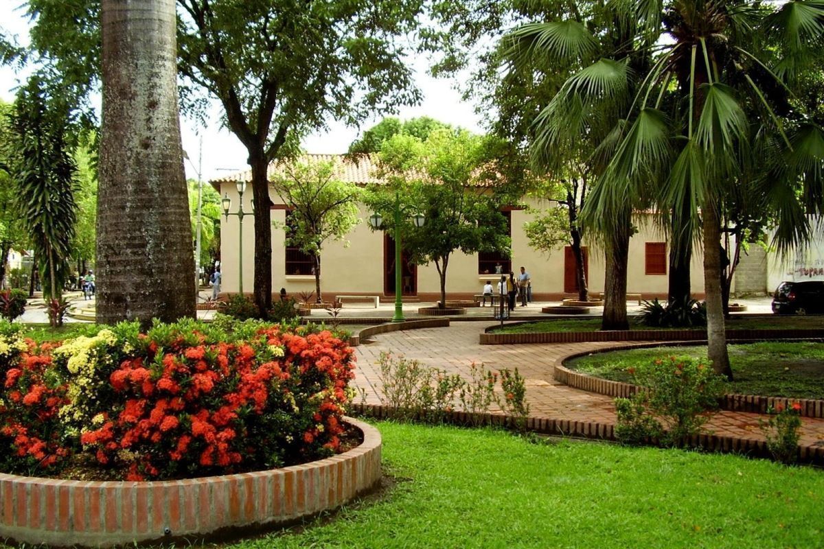 La linda Barinas, un paisaje de ensoñación - Haiman El TroudI