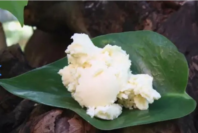 Copoazú, fruto nutritivo y versátil de nuestra Amazonía - Haiman El TroudI