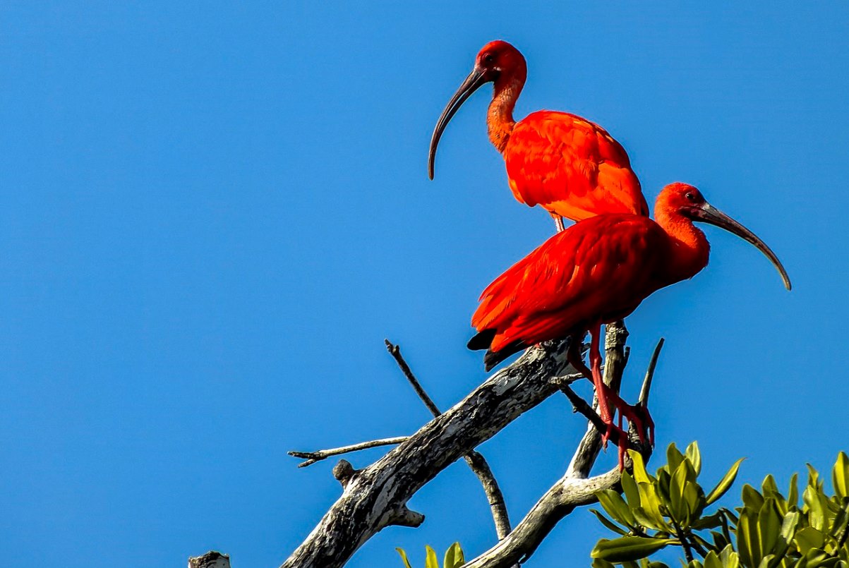 El Parque Nacional Morrocoy tiene todo para el ecoturismo - Haiman El ...