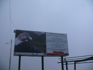 Monumento del Cóndor engalana punto carretero más alto de Venezuela ...