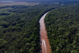 Exóticas delicias del Amazonas una herencia ancestral - Haiman el Troudi